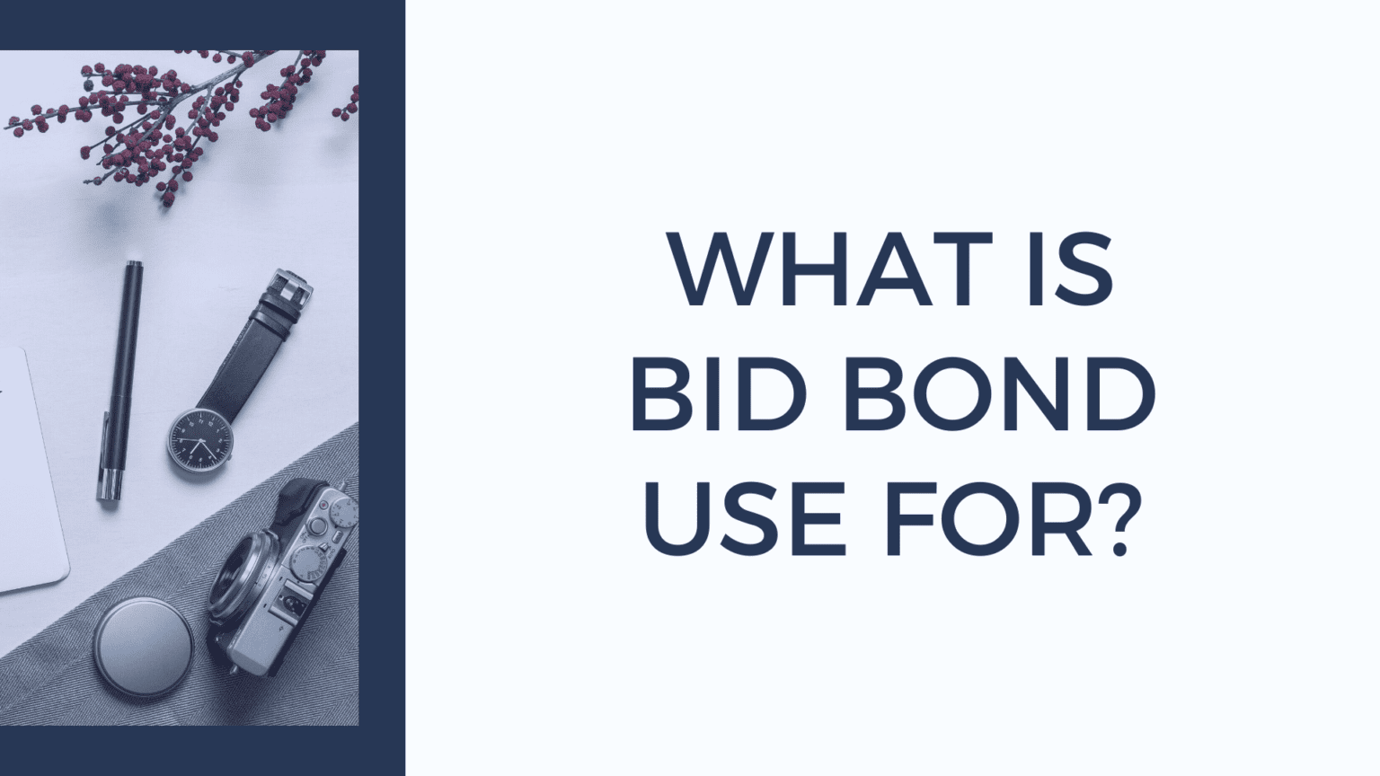 What Is Bid Bond Use For?