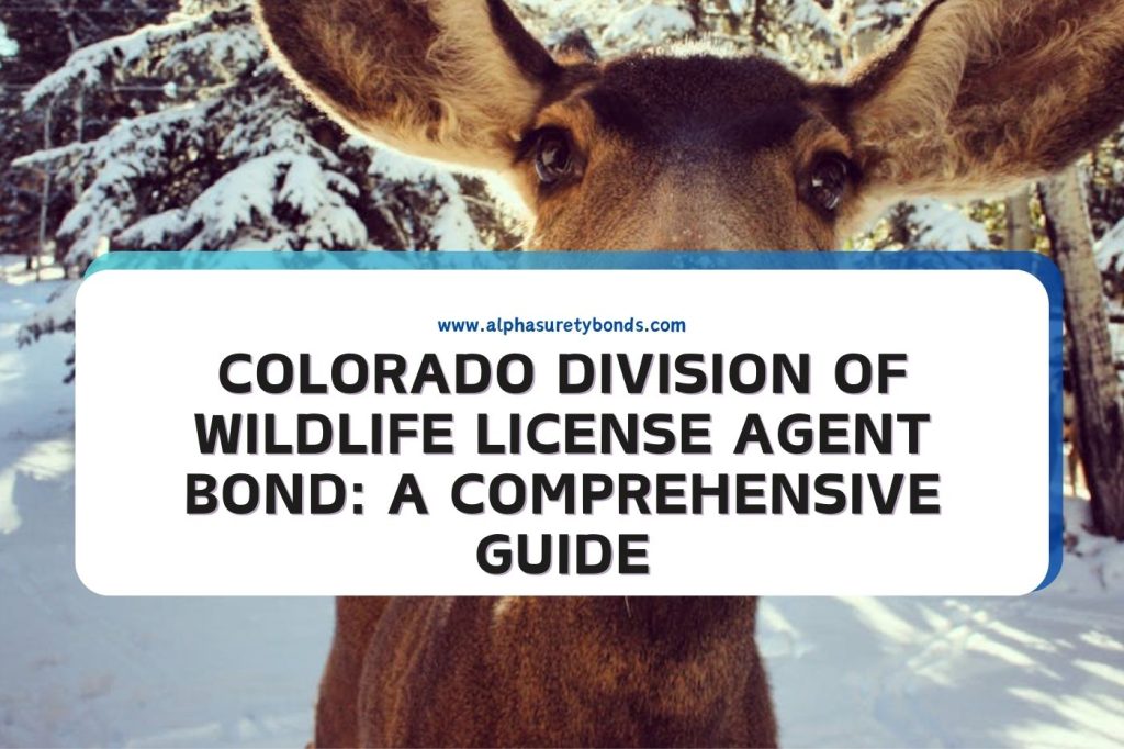 Colorado Division of Wildlife License Agent Bond: A Comprehensive Guide