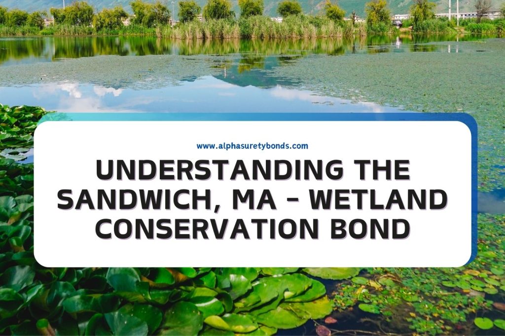 Understanding the Sandwich, MA - Wetland Conservation Bond