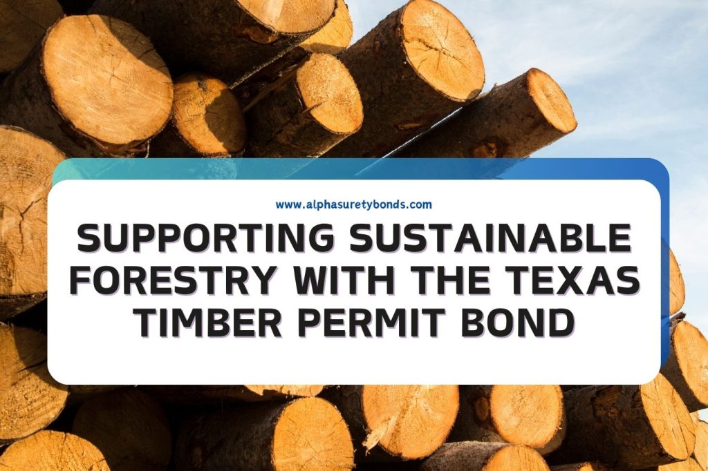 Supporting Sustainable Forestry with the Texas Timber Permit Bond